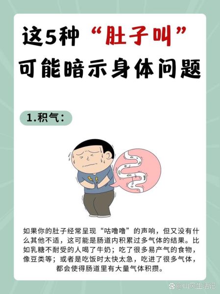 肚子咕咕叫是什么原因_肚子咕咕叫怎么缓解-第1张图片-山城妙识