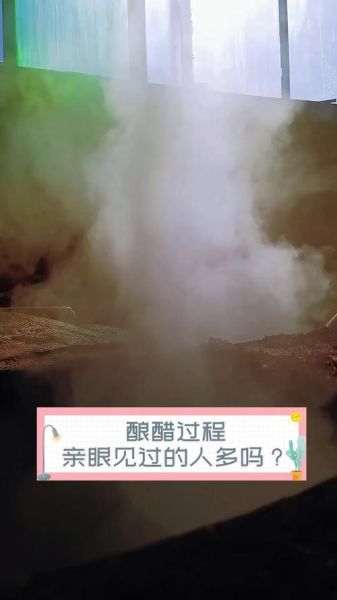醋的做法大全_家庭自制醋怎么做-第2张图片-山城妙识