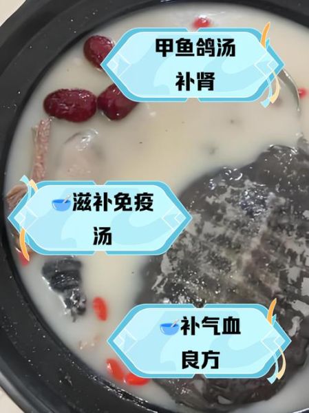 炖甲鱼汤放什么材料最补肾_甲鱼汤补肾配方大全-第3张图片-山城妙识