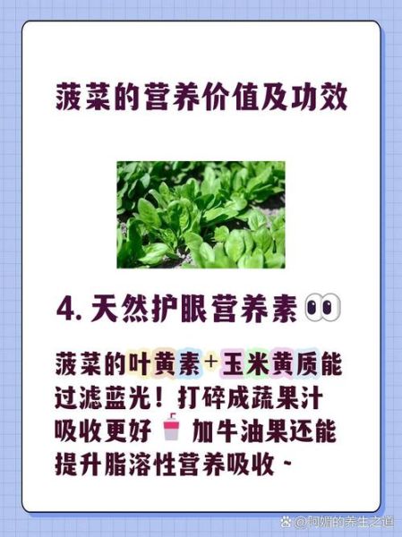 补铁的蔬菜有哪些_菠菜补铁效果好吗-第2张图片-山城妙识