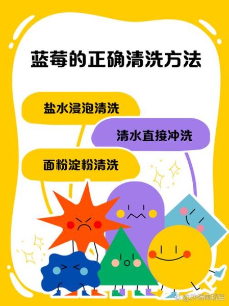 蓝莓怎么洗才能洗干净_蓝莓清洗的正确方法-第1张图片-山城妙识