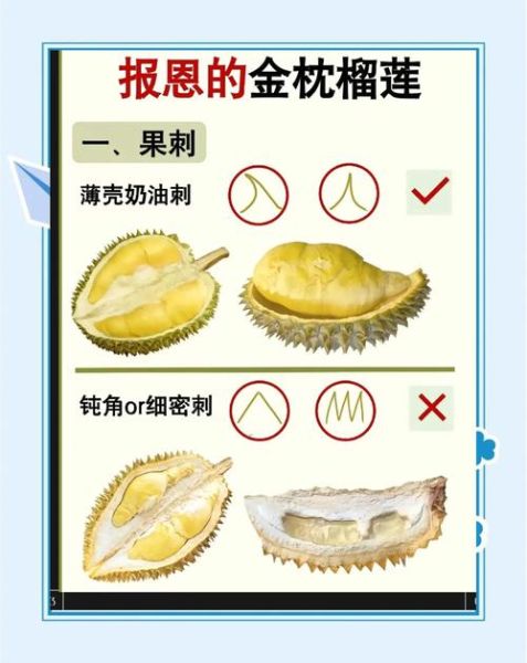 怎样挑选榴莲又香又甜_榴莲怎么选才好吃-第1张图片-山城妙识 怎样挑选榴莲又香又甜_榴莲怎么选才好吃-第1张图片-山城妙识