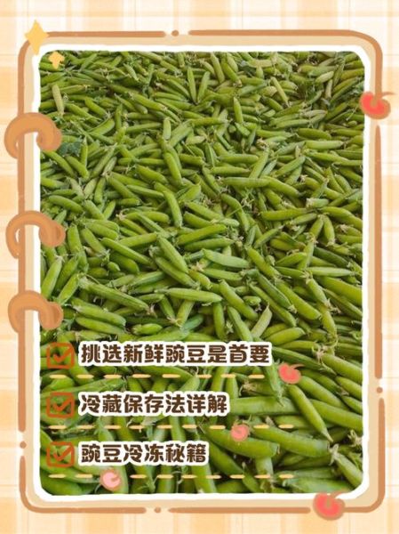 豌豆荚怎么下载旧版本_豌豆荚官方商店安全吗-第2张图片-山城妙识 豌豆荚怎么下载旧版本_豌豆荚官方商店安全吗-第2张图片-山城妙识