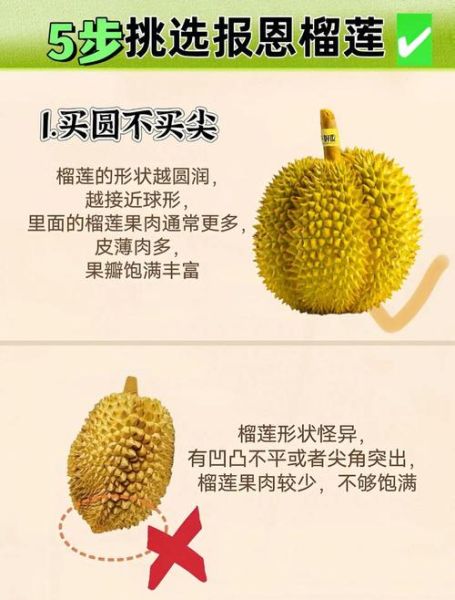 怎样挑选榴莲又香又甜_榴莲怎么选才好吃-第3张图片-山城妙识 怎样挑选榴莲又香又甜_榴莲怎么选才好吃-第3张图片-山城妙识
