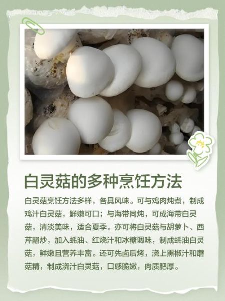 白灵菇汤怎么做_白灵菇汤的功效与禁忌-第1张图片-山城妙识 白灵菇汤怎么做_白灵菇汤的功效与禁忌-第1张图片-山城妙识