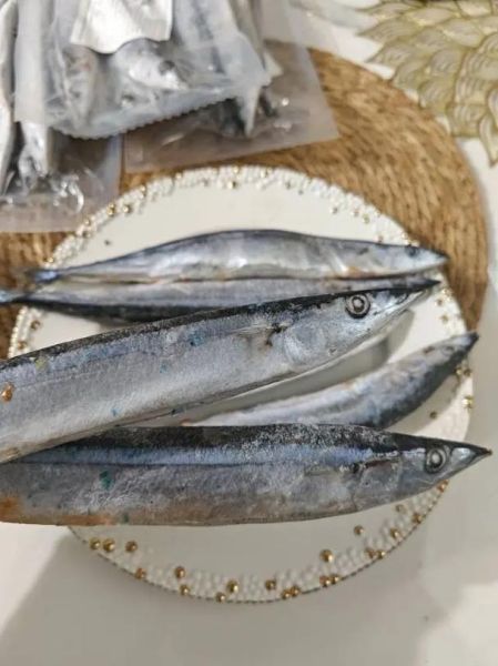 野生三刀鱼多少钱一斤_野生三刀鱼价格行情-第3张图片-山城妙识