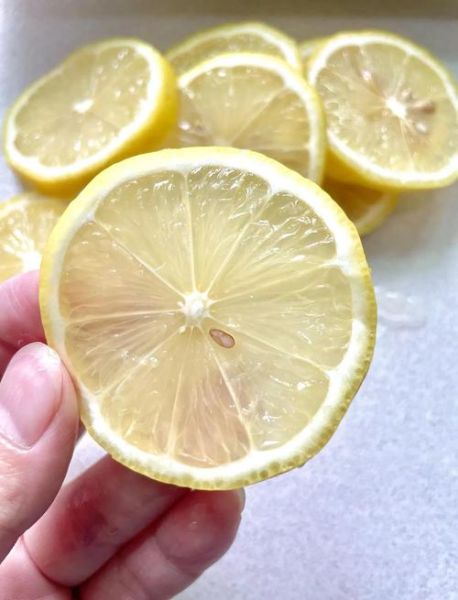 柠檬能做什么_柠檬怎么保存-第3张图片-山城妙识 柠檬能做什么_柠檬怎么保存-第3张图片-山城妙识