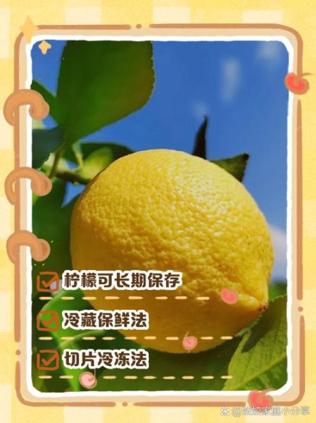 柠檬能做什么_柠檬怎么保存-第2张图片-山城妙识 柠檬能做什么_柠檬怎么保存-第2张图片-山城妙识