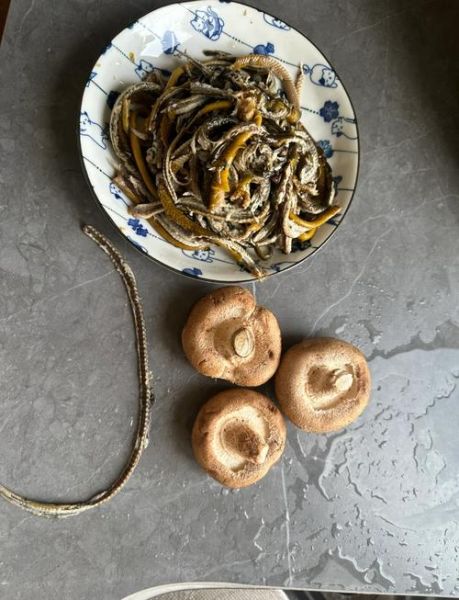 黄鳝汤怎么炖最有营养_黄鳝汤做法窍门-第3张图片-山城妙识 黄鳝汤怎么炖最有营养_黄鳝汤做法窍门-第3张图片-山城妙识