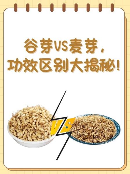 谷芽和麦芽的区别_谷芽麦芽功效一样吗-第1张图片-山城妙识