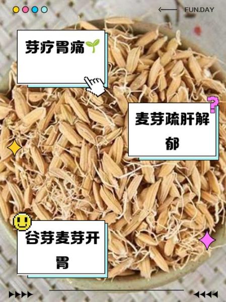 谷芽和麦芽的区别_谷芽麦芽功效一样吗-第3张图片-山城妙识