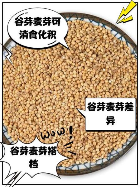 谷芽和麦芽的区别_谷芽麦芽功效一样吗-第2张图片-山城妙识