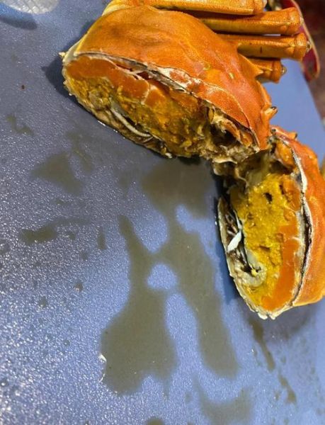 熟螃蟹放冰箱5天能吃吗_熟螃蟹冷藏多久安全-第2张图片-山城妙识 熟螃蟹放冰箱5天能吃吗_熟螃蟹冷藏多久安全-第2张图片-山城妙识