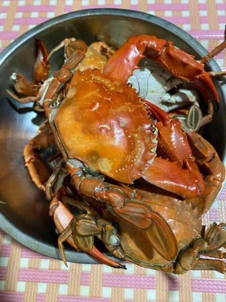 熟螃蟹放冰箱5天能吃吗_熟螃蟹冷藏多久安全-第3张图片-山城妙识 熟螃蟹放冰箱5天能吃吗_熟螃蟹冷藏多久安全-第3张图片-山城妙识