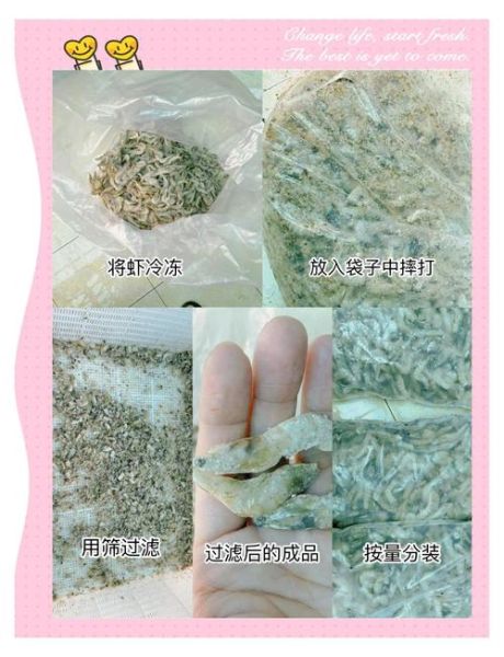 虾尾怎么清洗_虾尾清洗去沙线技巧-第2张图片-山城妙识 虾尾怎么清洗_虾尾清洗去沙线技巧-第2张图片-山城妙识