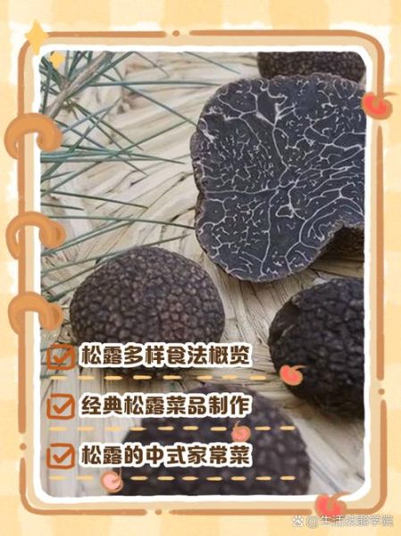 新鲜松露怎么做好吃_松露保存方法-第2张图片-山城妙识