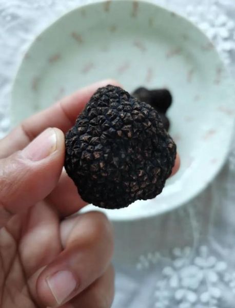 新鲜松露怎么做好吃_松露保存方法-第3张图片-山城妙识