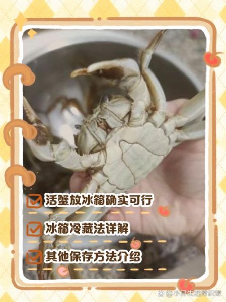 河蟹怎么保存_河蟹放冰箱能活几天-第2张图片-山城妙识