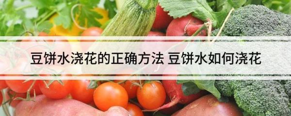 豆饼水怎么做_豆饼水浇花比例是多少-第2张图片-山城妙识