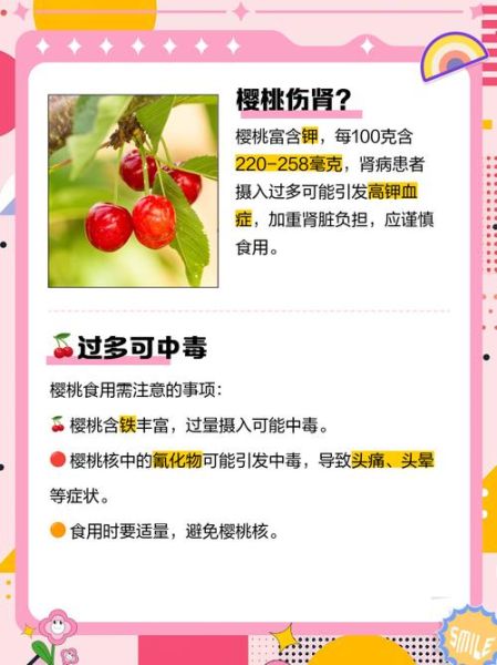 樱桃吃多了有什么坏处_樱桃一天吃多少合适-第1张图片-山城妙识 樱桃吃多了有什么坏处_樱桃一天吃多少合适-第1张图片-山城妙识