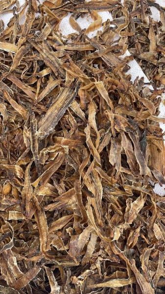 地龙图片_地龙长什么样-第3张图片-山城妙识 地龙图片_地龙长什么样-第3张图片-山城妙识