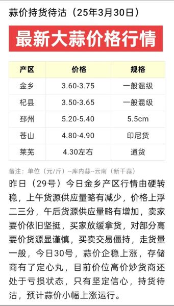 今日大蒜多少钱一斤_2024年6月大蒜价格还会涨吗-第1张图片-山城妙识 今日大蒜多少钱一斤_2024年6月大蒜价格还会涨吗-第1张图片-山城妙识