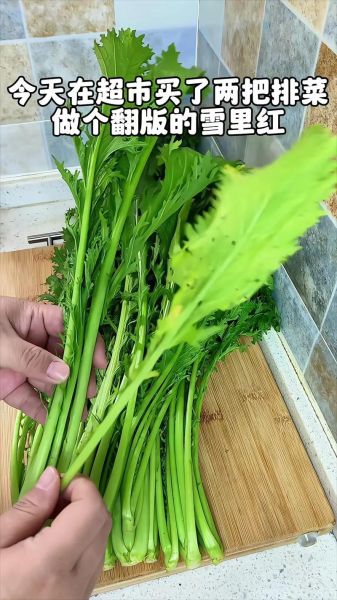 北方雪里红什么时候种_雪里红种植方法-第2张图片-山城妙识 北方雪里红什么时候种_雪里红种植方法-第2张图片-山城妙识