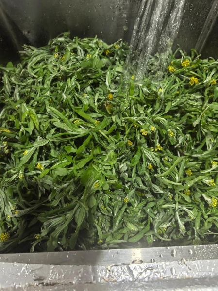 鼠曲草怎么做好吃_鼠曲草的做法大全-第1张图片-山城妙识 鼠曲草怎么做好吃_鼠曲草的做法大全-第1张图片-山城妙识