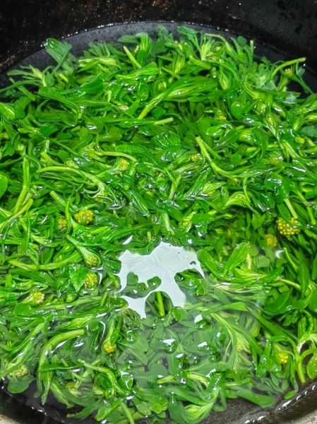 鼠曲草怎么做好吃_鼠曲草的做法大全-第2张图片-山城妙识 鼠曲草怎么做好吃_鼠曲草的做法大全-第2张图片-山城妙识