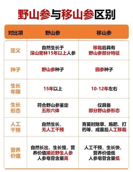 山参和人参的区别_野生与栽培差异在哪-第3张图片-山城妙识 山参和人参的区别_野生与栽培差异在哪-第3张图片-山城妙识