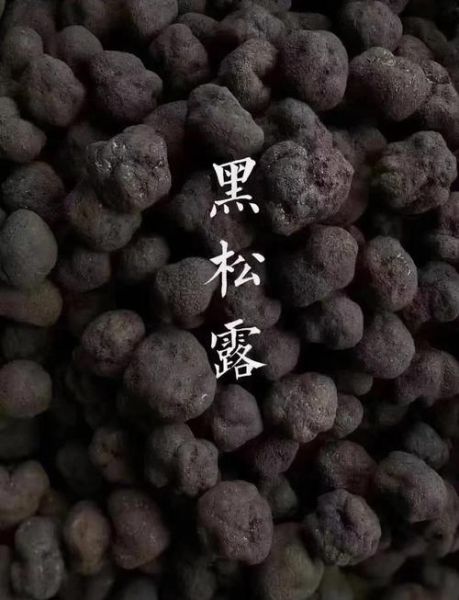 黑松露菌怎么吃_黑松露菌的功效与作用-第1张图片-山城妙识