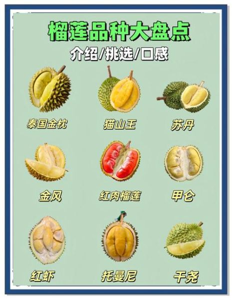 榴莲品种十大排名_哪种最好吃-第1张图片-山城妙识