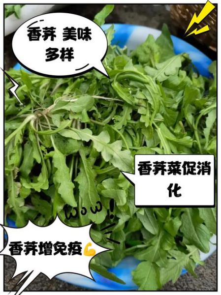 香荠菜长什么样_香荠菜和荠菜区别-第3张图片-山城妙识 香荠菜长什么样_香荠菜和荠菜区别-第3张图片-山城妙识