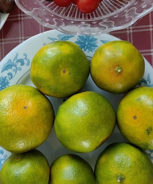 青桔子的功效与作用_青桔子的禁忌有哪些-第1张图片-山城妙识