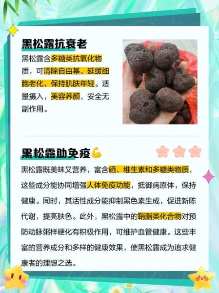 黑松露的功效与作用_黑松露怎么吃效果最好-第1张图片-山城妙识