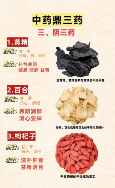 补气血的中药材有哪些_女人吃什么补气养血最快-第2张图片-山城妙识