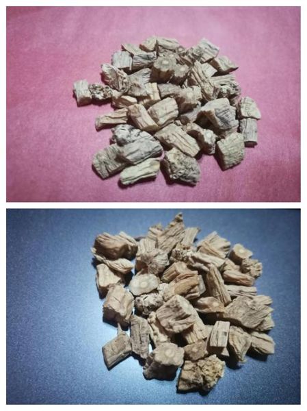 补气血的中药材有哪些_女人吃什么补气养血最快-第1张图片-山城妙识