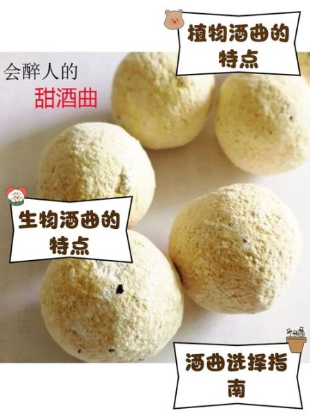 米酒的做法_酒曲比例多少合适-第3张图片-山城妙识