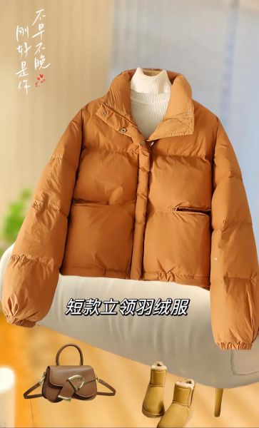 白鸭绒羽绒服一般多少钱_白鸭绒羽绒服价格区间-第2张图片-山城妙识 白鸭绒羽绒服一般多少钱_白鸭绒羽绒服价格区间-第2张图片-山城妙识