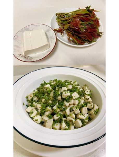 香椿拌豆腐怎么做_香椿拌豆腐的营养价值-第2张图片-山城妙识