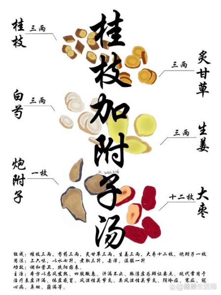 附子汤的功效与作用_附子汤适合哪些人喝-第2张图片-山城妙识 附子汤的功效与作用_附子汤适合哪些人喝-第2张图片-山城妙识