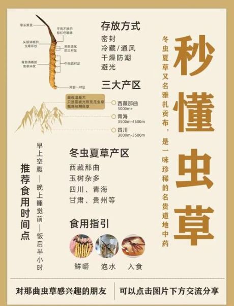 虫草怎么泡水喝_虫草泡水一次放几根-第2张图片-山城妙识 虫草怎么泡水喝_虫草泡水一次放几根-第2张图片-山城妙识