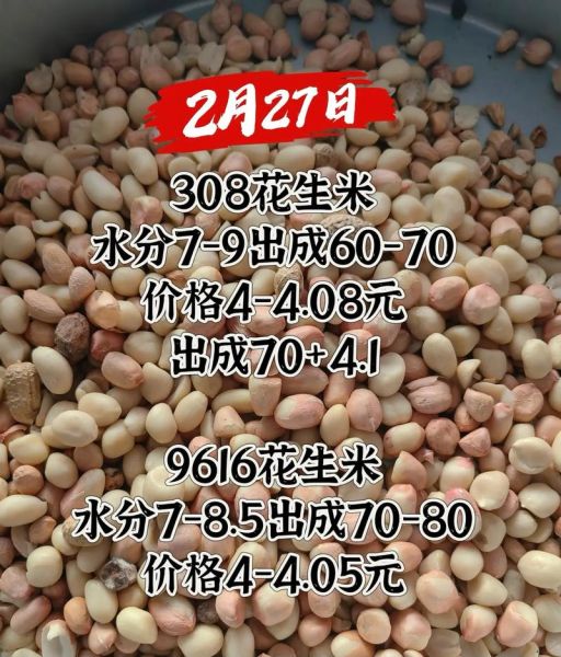 花生米今日价格多少钱一斤_花生米最新行情还会涨吗-第2张图片-山城妙识