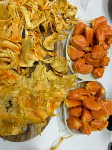 菠萝蜜怎么剥皮小窍门_菠萝蜜剥皮最简单的方法-第3张图片-山城妙识 菠萝蜜怎么剥皮小窍门_菠萝蜜剥皮最简单的方法-第3张图片-山城妙识