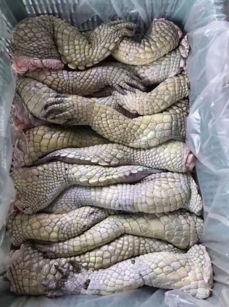 鳄鱼肉好吃吗_鳄鱼肉口感怎么样-第1张图片-山城妙识