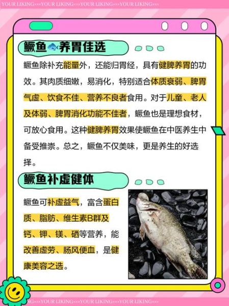 桂鱼的营养价值_桂鱼的功效与作用-第1张图片-山城妙识 桂鱼的营养价值_桂鱼的功效与作用-第1张图片-山城妙识