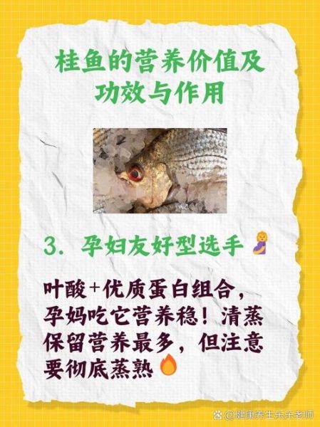 桂鱼的营养价值_桂鱼的功效与作用-第3张图片-山城妙识 桂鱼的营养价值_桂鱼的功效与作用-第3张图片-山城妙识