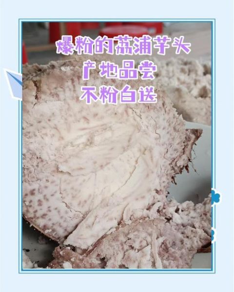 荔浦芋头与普通芋头的区别_哪个更好吃-第1张图片-山城妙识 荔浦芋头与普通芋头的区别_哪个更好吃-第1张图片-山城妙识