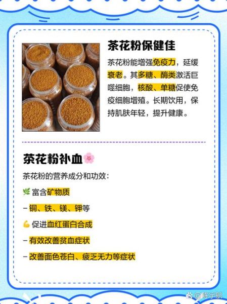 茶花粉可以天天喝吗_长期饮用的副作用-第1张图片-山城妙识 茶花粉可以天天喝吗_长期饮用的副作用-第1张图片-山城妙识