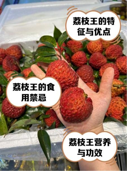 荔枝王多少钱一斤_荔枝王和普通荔枝区别-第1张图片-山城妙识 荔枝王多少钱一斤_荔枝王和普通荔枝区别-第1张图片-山城妙识